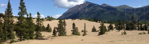 Purpose of YESAA - YESAB - Yukon Environmental and Socio-economic ...